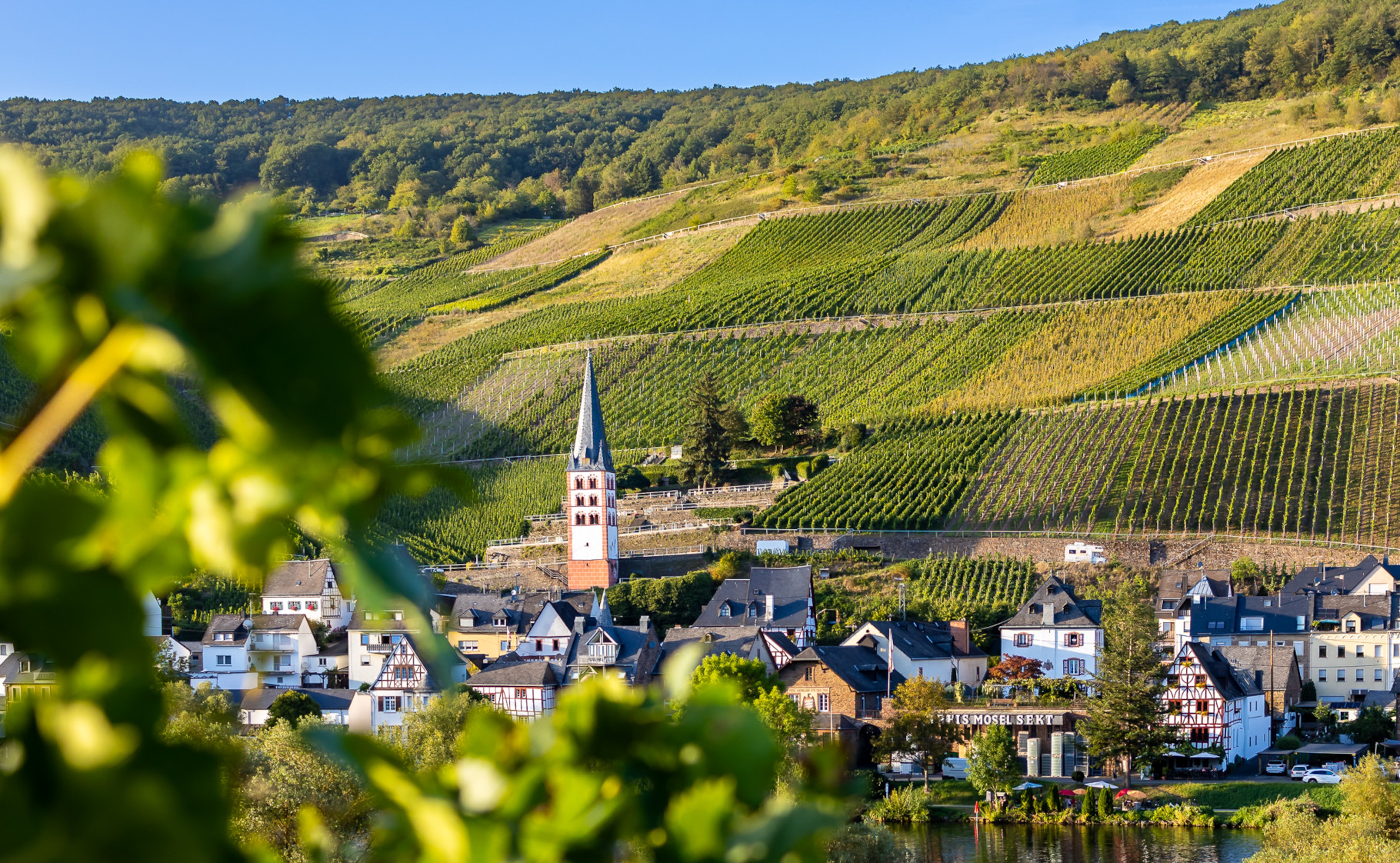Frz Stadt An Der Mosel