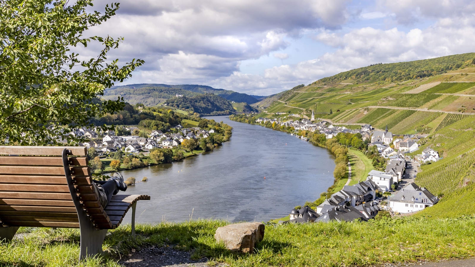Homepage - Website Zell (Mosel) | Zell (Mosel)